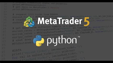 How To Import Stock Price Data From Metatrader5 Into Python Youtube