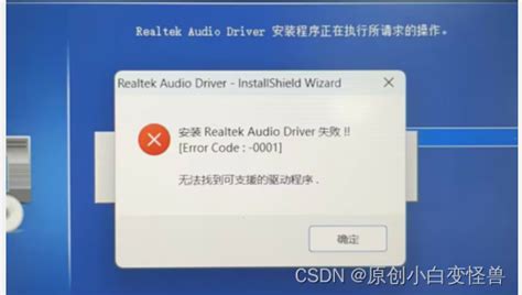 安装realtek Audio Driver失败 Error Code： 0001 安装realtek Audio Driver 0001 Csdn博客