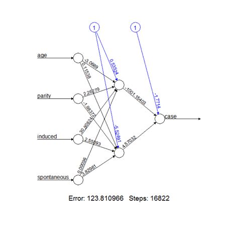 econometric sense r code example for neural networks