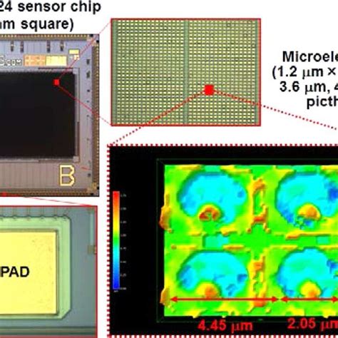 Circuit Structure Of The Microelectrode Array Download Scientific Diagram