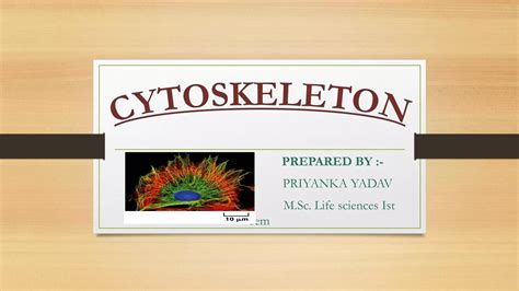 Cytoskeleton PDF