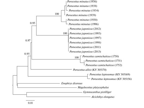 A Bayesian Tree Reconstructed Based On The Analysis Of Nucleotide Download Scientific Diagram