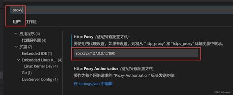 Vscode设置代理vscodeduapple Ai编程社区