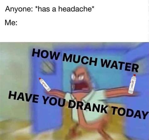 H2flow 32 Hydration Memes That Remind Us We Should Probably Drink Some Water