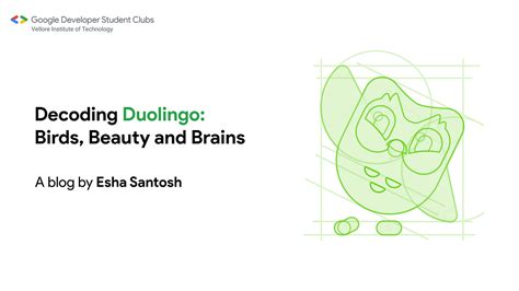 Decoding Duolingo How Technology And Design Can Shape Learning