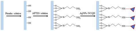 Chlorophyll Detection By Localized Surface Plasmon Resonance Using