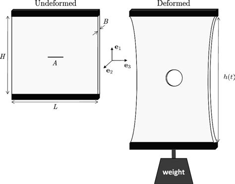 Schematic Of A Typical Delayed Fracture Test For A Viscoelastic Download Scientific Diagram