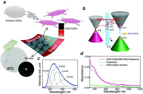 Graphene Nitrogen Functionalized Graphene Quantum Dot Hybrid Broadband Photodetectors With A