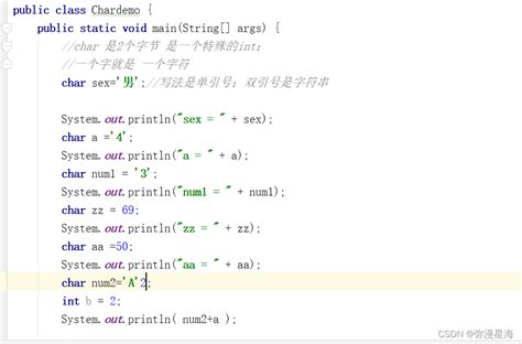 Java数据类型的分类 Csdn博客