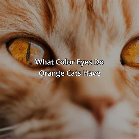 What Is Yellows Complementary Color