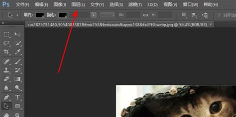 ps如何设置背景图层及其颜色 360新知