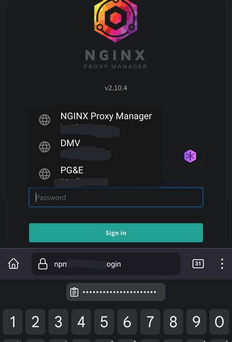 Bug Maybe Auto Fill Showing Every Saved Password Not Just The