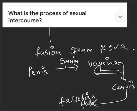 What Is The Process Of Sexual Intercourse Filo