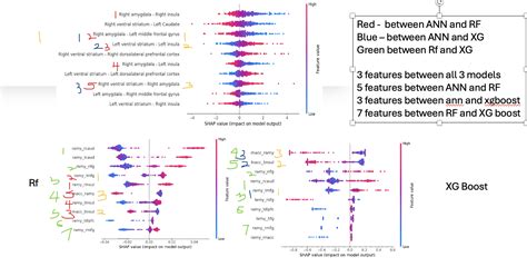 Explainable Ai Can I Compare Mean Absolute Shap Values For Different
