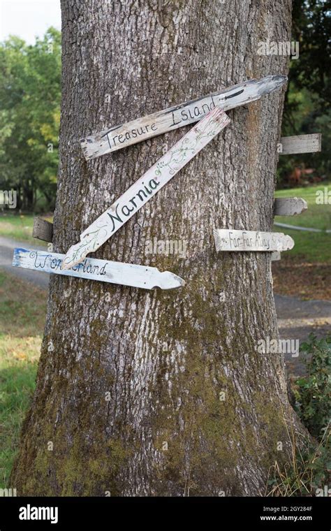 A Tree With Directional Signs Nailed To It Pointing To Different Fantastical Places Stock Photo