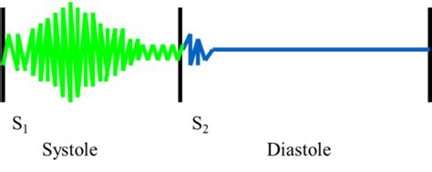 Chapter 23 Abnormal Heart Sounds Flashcards Quizlet