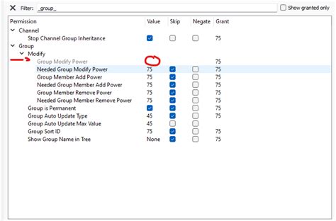 Igroupmodifypower Insufficient Permissions Teamspeak Server