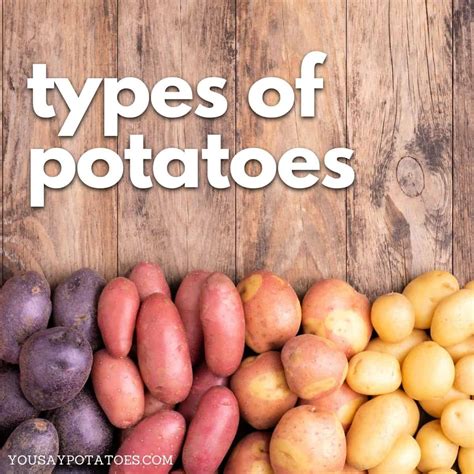 Types Of Potatoes • You Say Potatoes