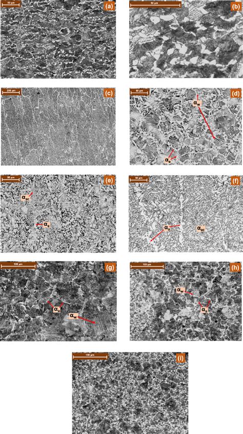 Microstructures Of A Bm At Lower Magnification B Bm At Higher Download Scientific Diagram