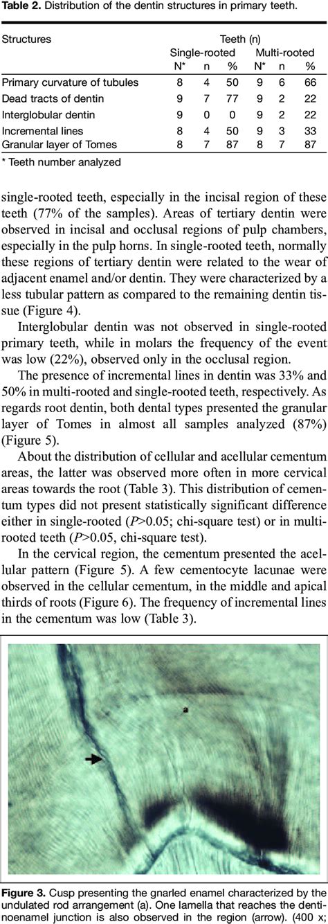 Neonatal Line Short Arrow Separating The Prenatal Enamel A From The Download Scientific