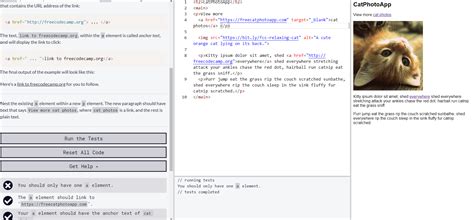 how can i solve this html css the freecodecamp forum