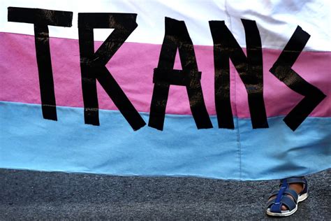 Anti Science Gender Movement Exposed The Catholic Weekly