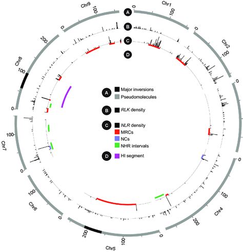 Phenotype Mapping Associates Immune Gene Hotspots With Nhr And Hi