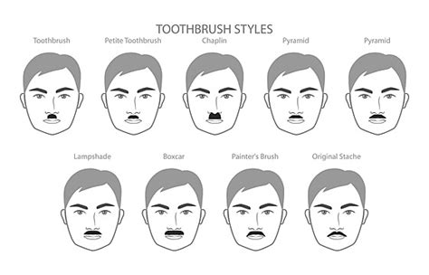 Facial Hair Illustration Of Grey Portrait Male Fashion Template Vector