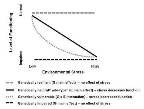 2 Graphically Depicts The Gene Environment Interaction Under Low