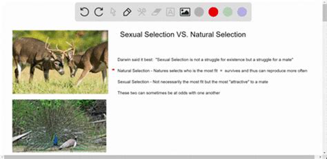SOLVED What Is Sexual Selection How Is Sexual Selection Similar To And Different From Other