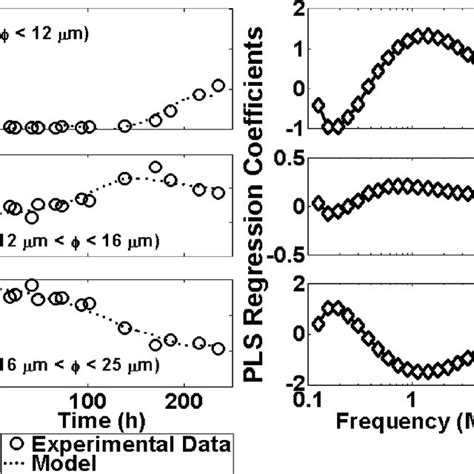 Calibration Of The PLS Model With The Calculated Volume Clusters The Download High Quality