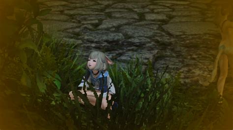 Rice Lord Sake 2 2 Fortunately Zhloe Knew Exactly Where The … 🔞