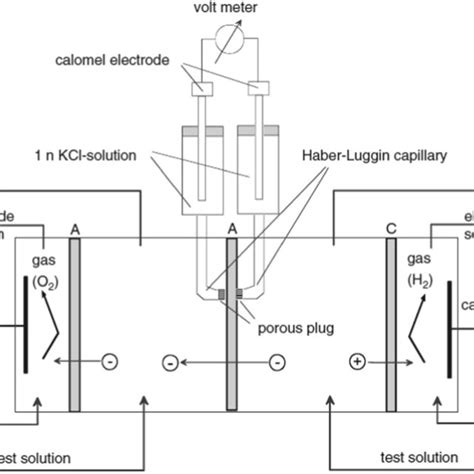 Schematic Diagram Of Membranes Preparation By Phase Inversion Technique Download Scientific