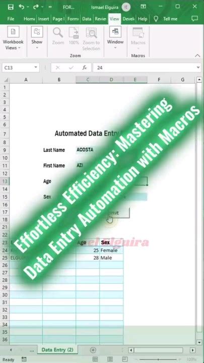 Mohamed Adel On Linkedin Excel Entry Automation With Macros