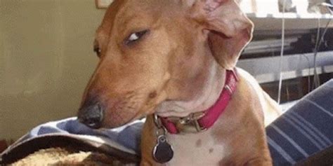 The Coding Love 👨‍💻 On Linkedin When I Tell The Lead Dev That Ive Tested Absolutely Everything