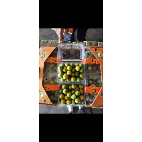 Jual Jeruk Kimkit Pack Shopee Indonesia