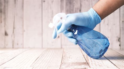 Top 10 Of The Best Email Validation Services For Bloggers In 2022