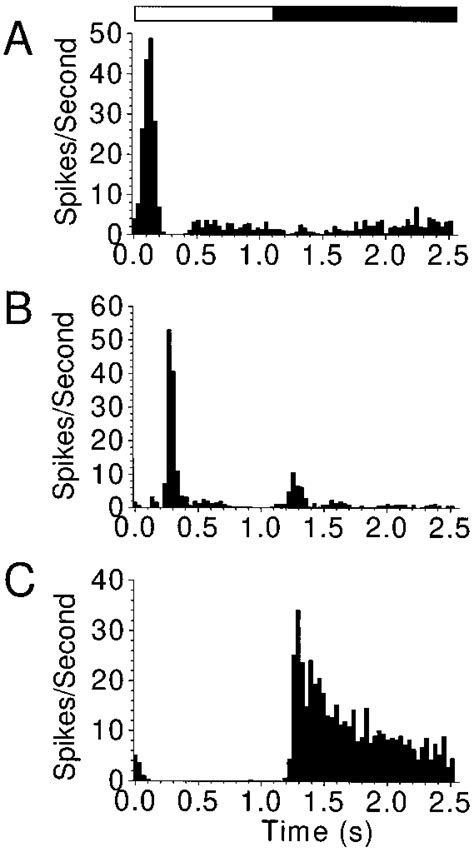 Peristimulus Time Histograms Of The Light Driven Activity Of An On Download Scientific