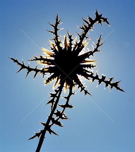 Galerija Priroda Ivan Vukušić Hrvatski Freelance Fotograf