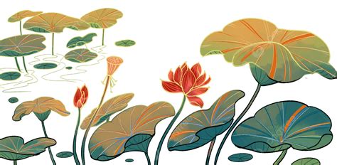 연꽃 연잎 식물 로터스 연잎 연밥 Png 일러스트 및 Psd 이미지 무료 다운로드 Pngtree