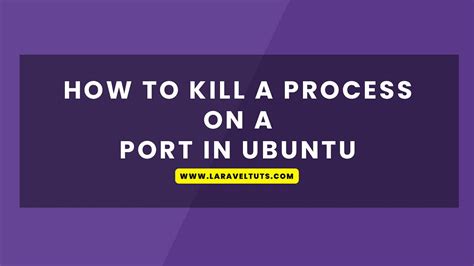 How To Kill A Process On A Port In Ubuntu By Laraveltuts Medium