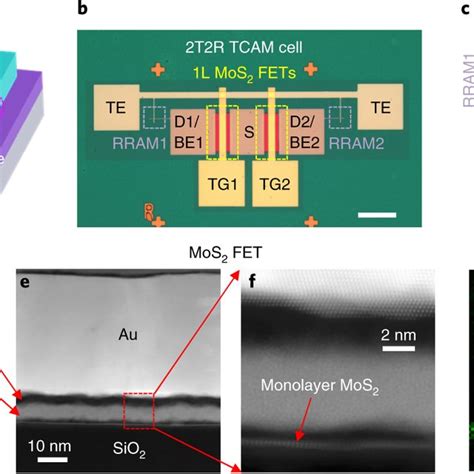 Ternary Content Addressable Memory With Mos2 Transistors For Massively