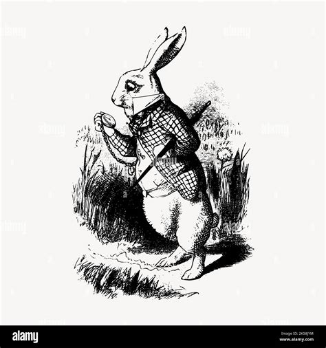 Alice In Wonderland Rabbit Png