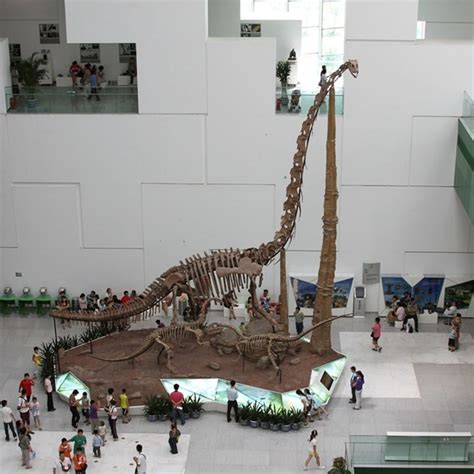 Lufengosaurus Pictures And Facts The Dinosaur Database