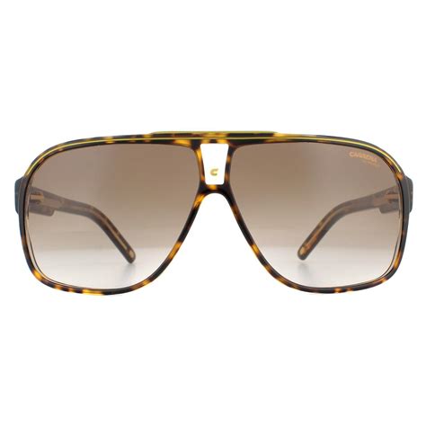 Sunglasses Aviator Havana Brown Gradient Sunglasses Carrera