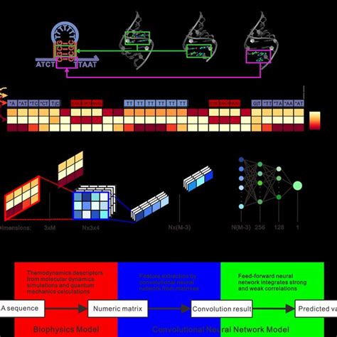 Overview Of The Quantum Chemical Convolutional Neural Network Model Download Scientific Diagram