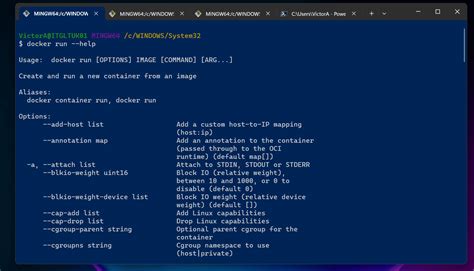 Docker Run Command Explained With Examples Cloudspress