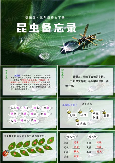 绿色简约昆虫备忘录ppt模板下载熊猫办公