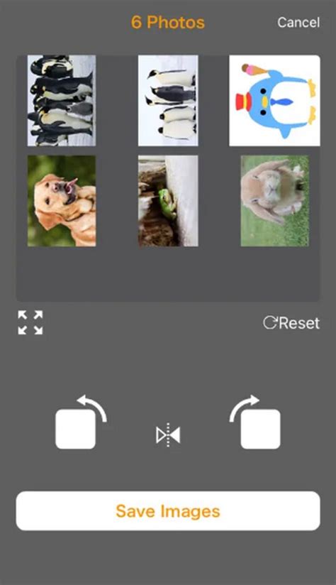 Rotate Photo On IPhone Smoothly 4 Leading Techniques