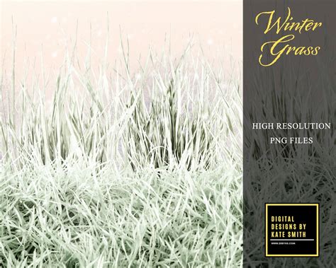 Winter Grass Png Overlays Filtergrade